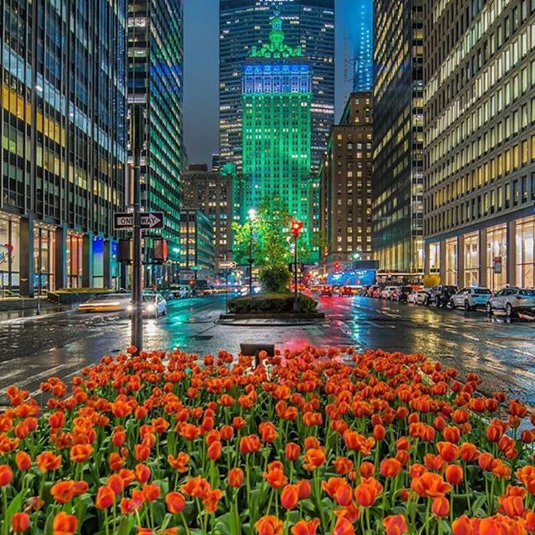 Park Avenue - New York City Photography by Surajit Khanna | Saatchi Art