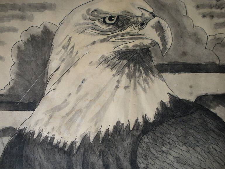eagle Drawing by Catherine Fitch | Saatchi Art
