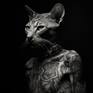 Cat Gangs of LA – I Digital by Derek Redican | Saatchi Art