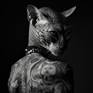 Cat Gangs of LA – I Digital by Derek Redican | Saatchi Art