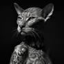 Cat Gangs of LA – I Digital by Derek Redican | Saatchi Art
