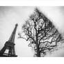 Eiffel Tower, Paris - Limited Edition of 10 Photography by Matthias ...