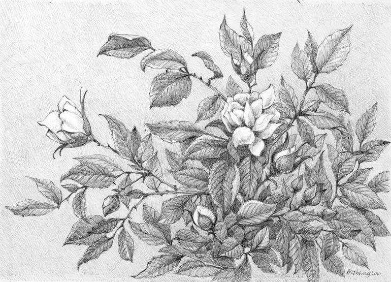 Roses in the garden Drawing by Valeriy Mikhaylov | Saatchi Art