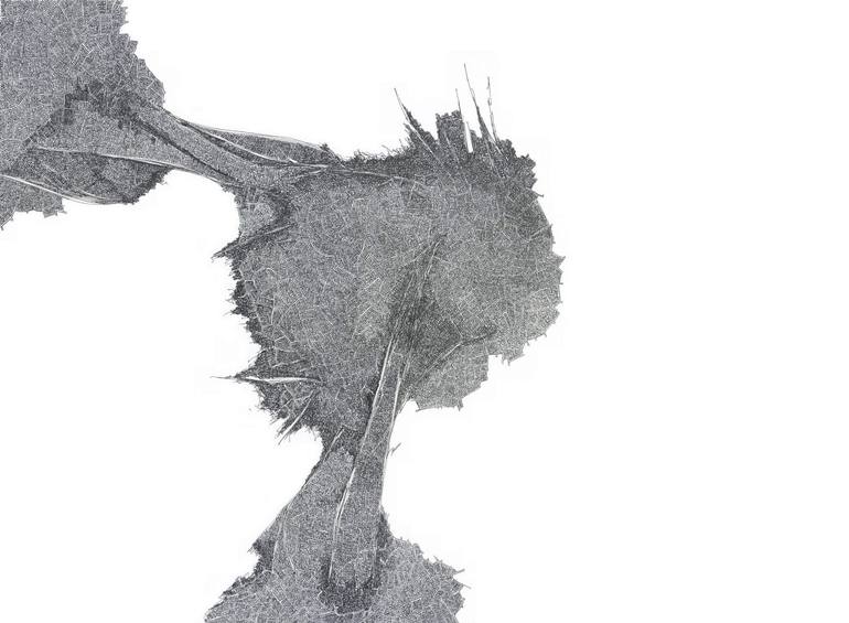 Echo Drawing by John Cowen | Saatchi Art