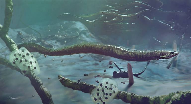 Brachydectes elongates Mixed Media by Rick Stikkelorum | Saatchi Art