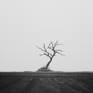 End of the Land - Limited Edition of 900 Photography by David Foti ...