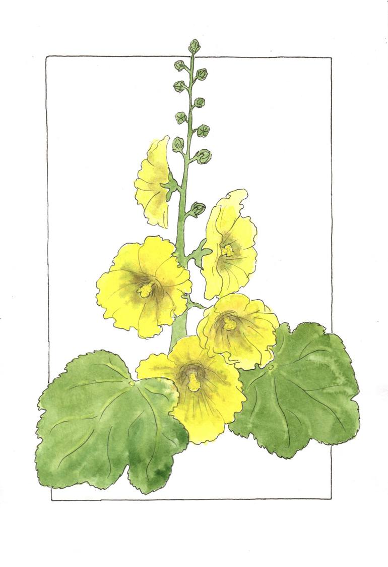 Yellow mallow Drawing by Olga Ivanova | Saatchi Art