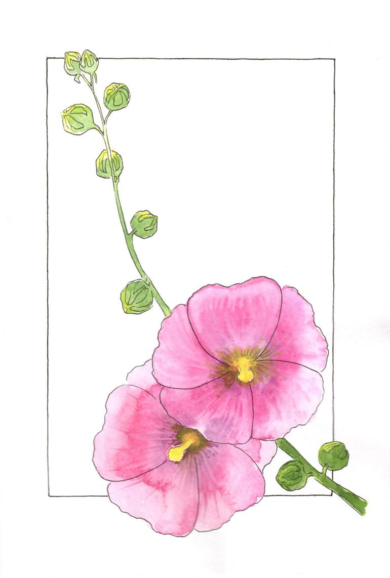 Pink mallow Drawing by Olga Ivanova | Saatchi Art