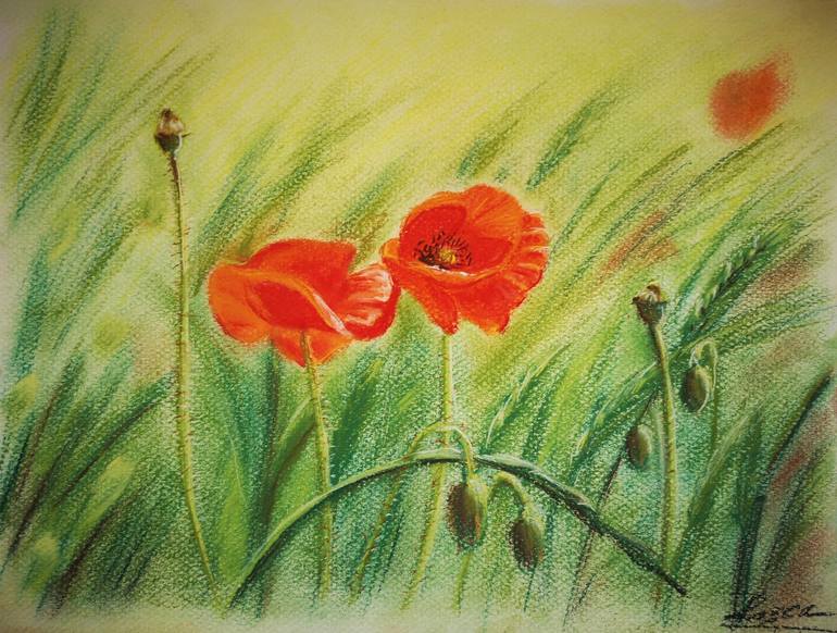 Coquelicots Drawing by Irina Rosca | Saatchi Art