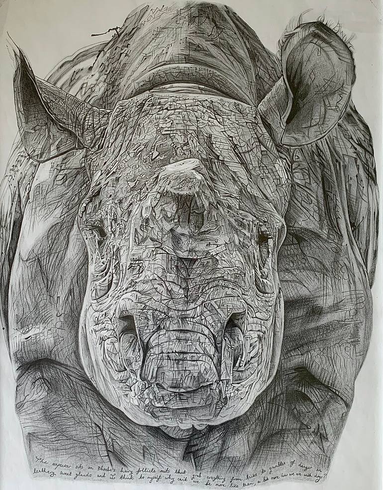 Phoebe Drawing by D Day | Saatchi Art