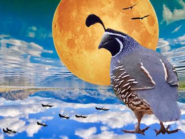 Grace Chadwick Artworks | Saatchi Art