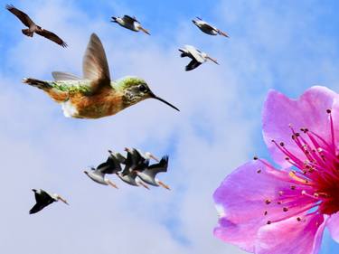 Grace Chadwick Artworks | Saatchi Art