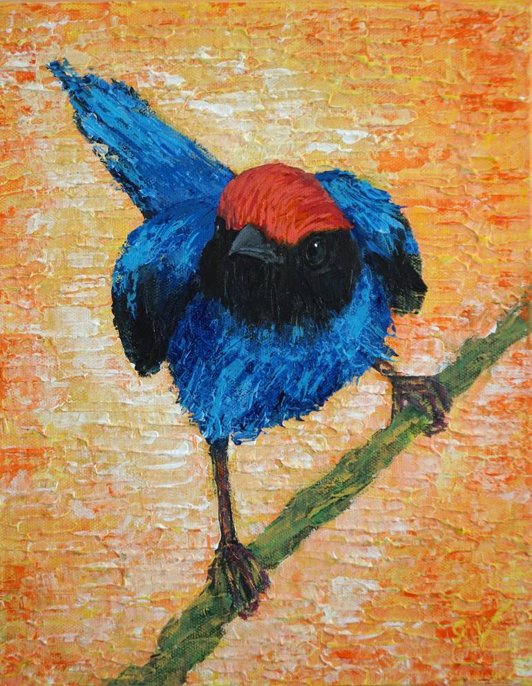 Blue Manakin with red cap. Painting by Galina Vasiljeva | Saatchi Art