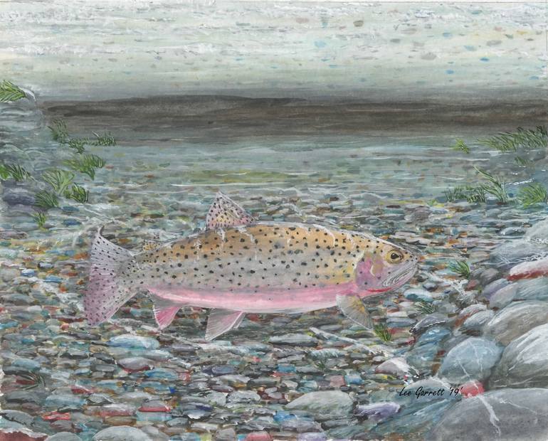 Yellowstone Cutthroat Painting by Lee Garrett | Saatchi Art