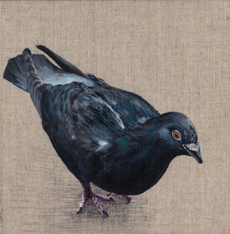 Pigeon B90115 Painting by Robin Pugh | Saatchi Art