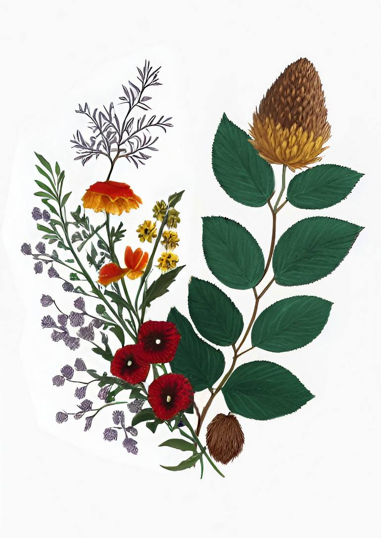 watercolour plants herbarium flowers natural minimalist eco 3 Drawing ...