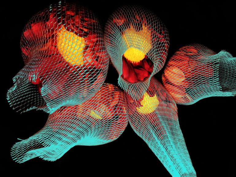 INNER FLOWERS 12- Limited Edition of 5 Photography by Gil Ferrer ...