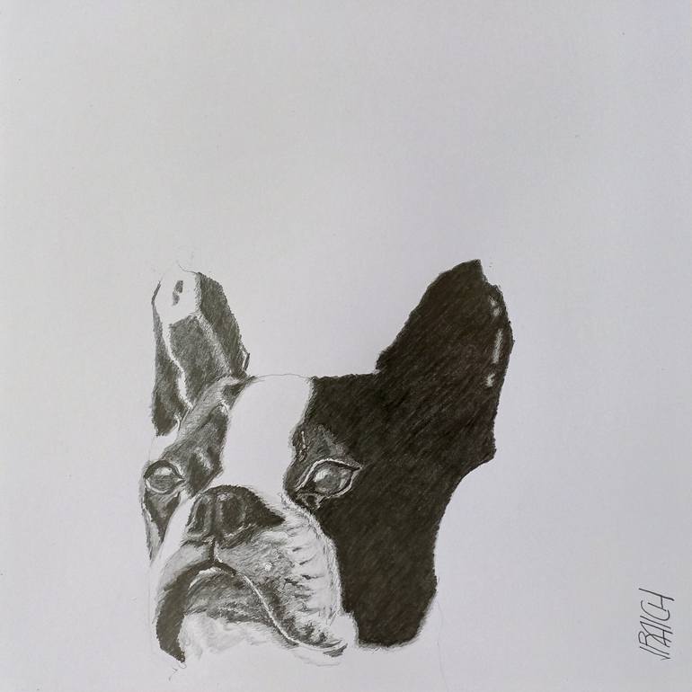 CHESTER Drawing by Jorge Raich | Saatchi Art