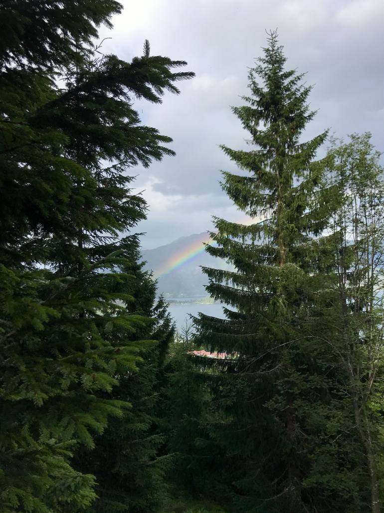 Fairytale Photography by Zoe Robertson | Saatchi Art