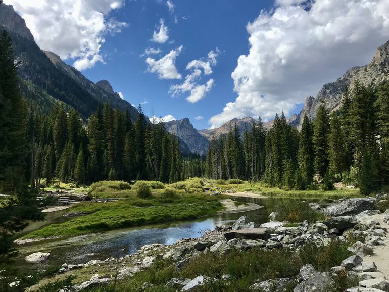 Cascade Creek Trail Photography by Zoe Robertson | Saatchi Art