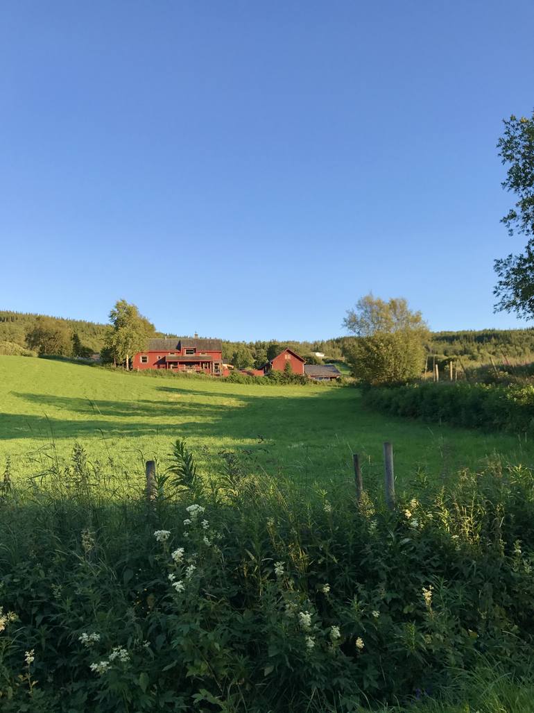 Oppland Photography by Zoe Robertson | Saatchi Art