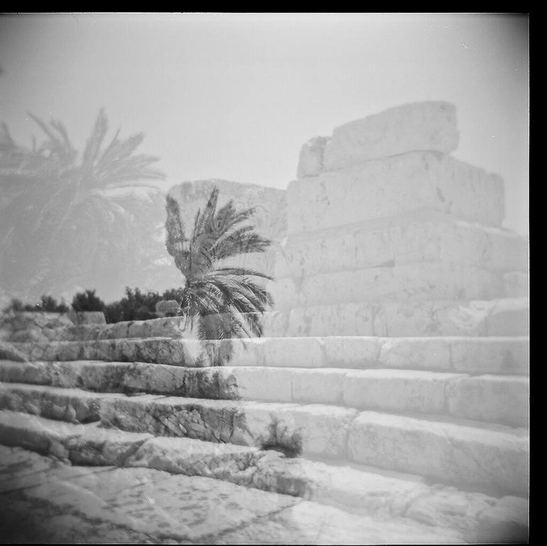 Desert Ruines Shaded Palms Photography by Gabrielle Weil | Saatchi Art