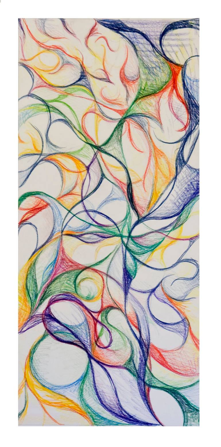 Freedom/entanglement Drawing by Erin Oliver | Saatchi Art