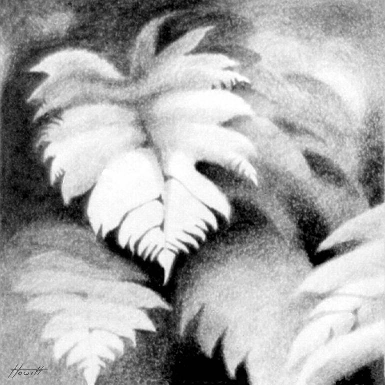 Tree Fern Pencil 1 Drawing by Patricia Howitt | Saatchi Art