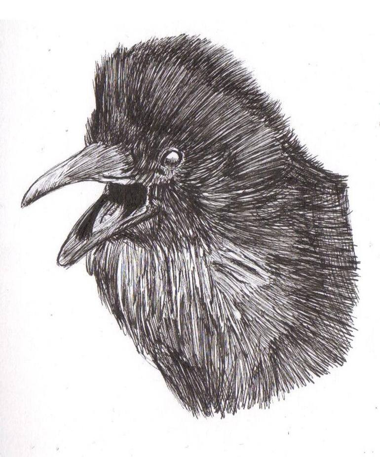 Lowri Williams:Observational Drawings Drawing by Lowri Williams ...