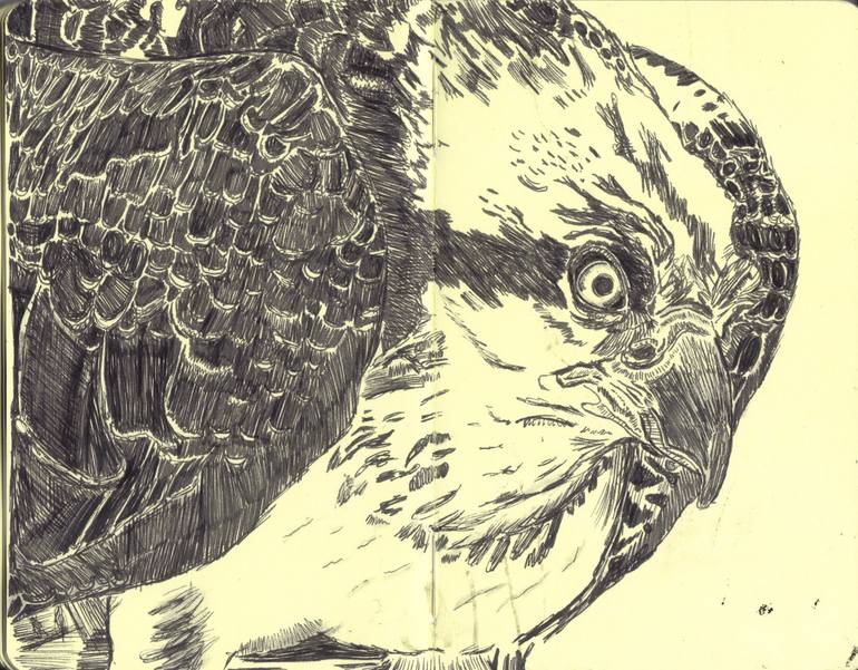 Lowri Williams:Observational Drawings Drawing by Lowri Williams ...