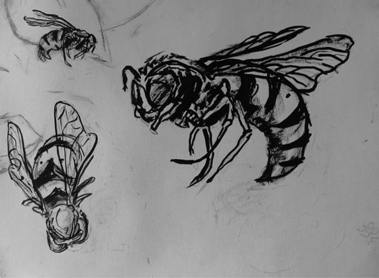 bees Drawing by Andrew McGregor | Saatchi Art