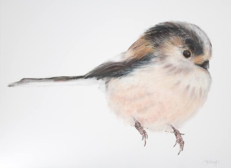 Long-tailed tit 2 Drawing by Jill Meager | Saatchi Art