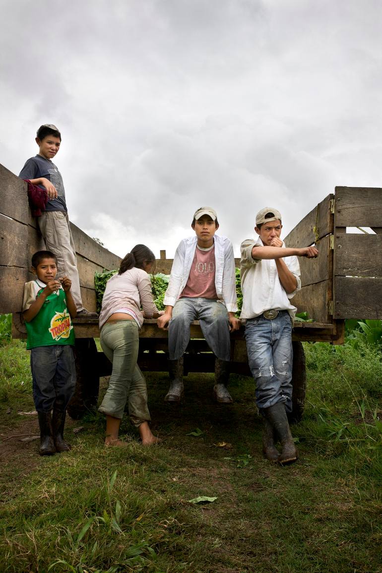 Field Workers - Limited Edition of 20 Photography by Ian Spanier ...