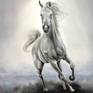 ‘Freedom without Restraint’ White Horse Painting by Susanth Sukumaran ...