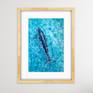 Our Shores, Minke Whale Painting by Joy Clifton | Saatchi Art