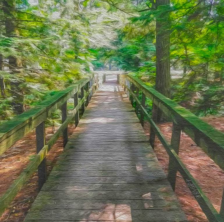 Trail to Paradise Photography by Robert Hover | Saatchi Art