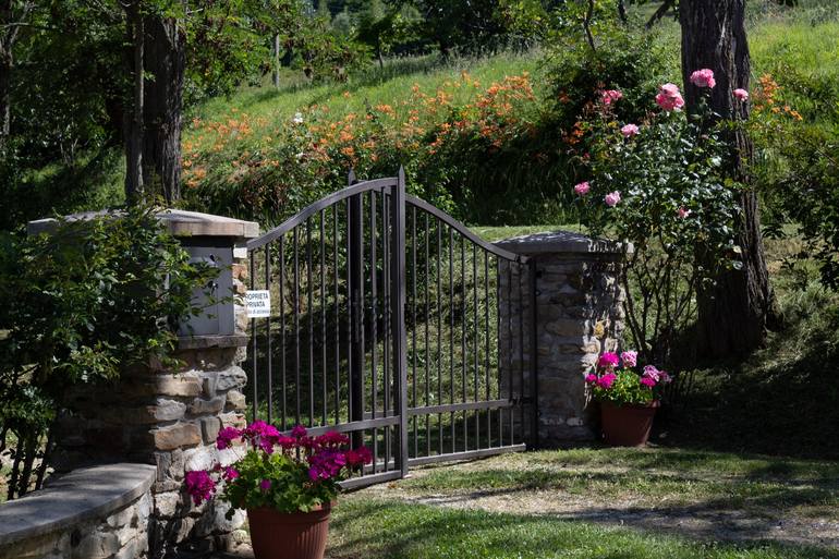 In the world of flowers. Italian summer - Limited Edition of 30 ...