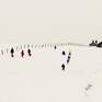Sledging - Photography by Ruth Robson | Saatchi Art