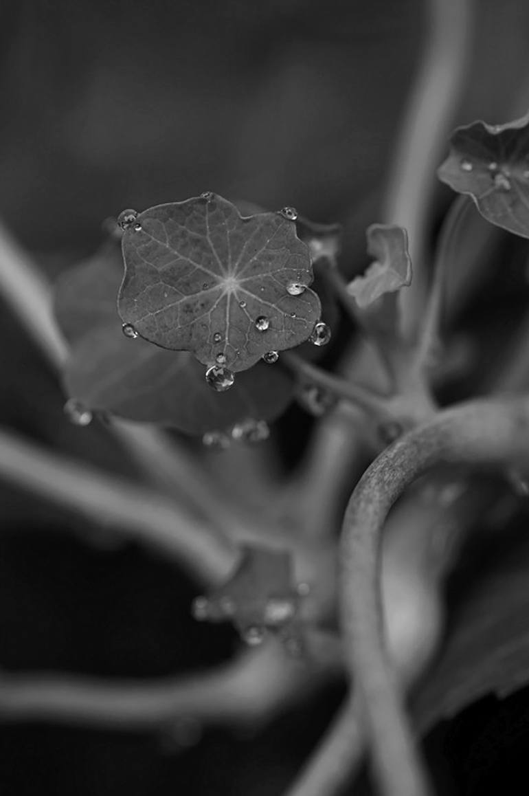 IntimateDetails_Miri_07 Photography by Mirjana Ristic Damjanovic Miri ...