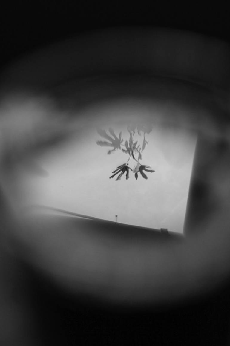 IntimateDetails_Miri_08 Photography by Mirjana Ristic Damjanovic Miri ...