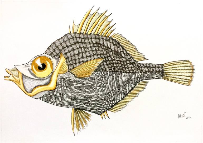 Fish in Armor Painting by Graham Wallwork | Saatchi Art