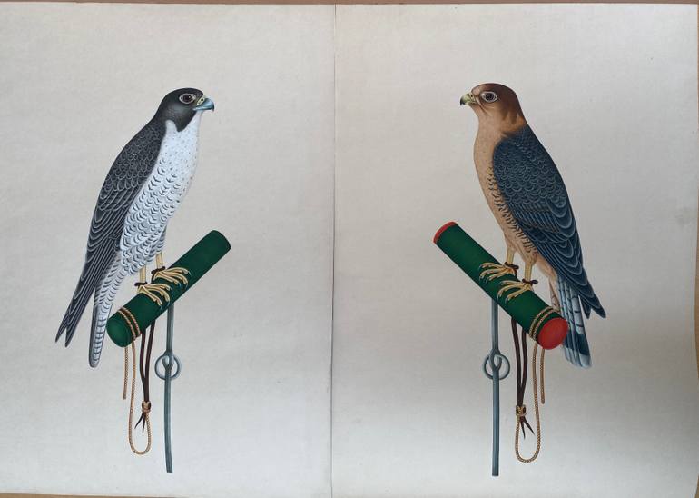 Hawk miniature painting, realistic falcon artwork Painting by Aditya ...