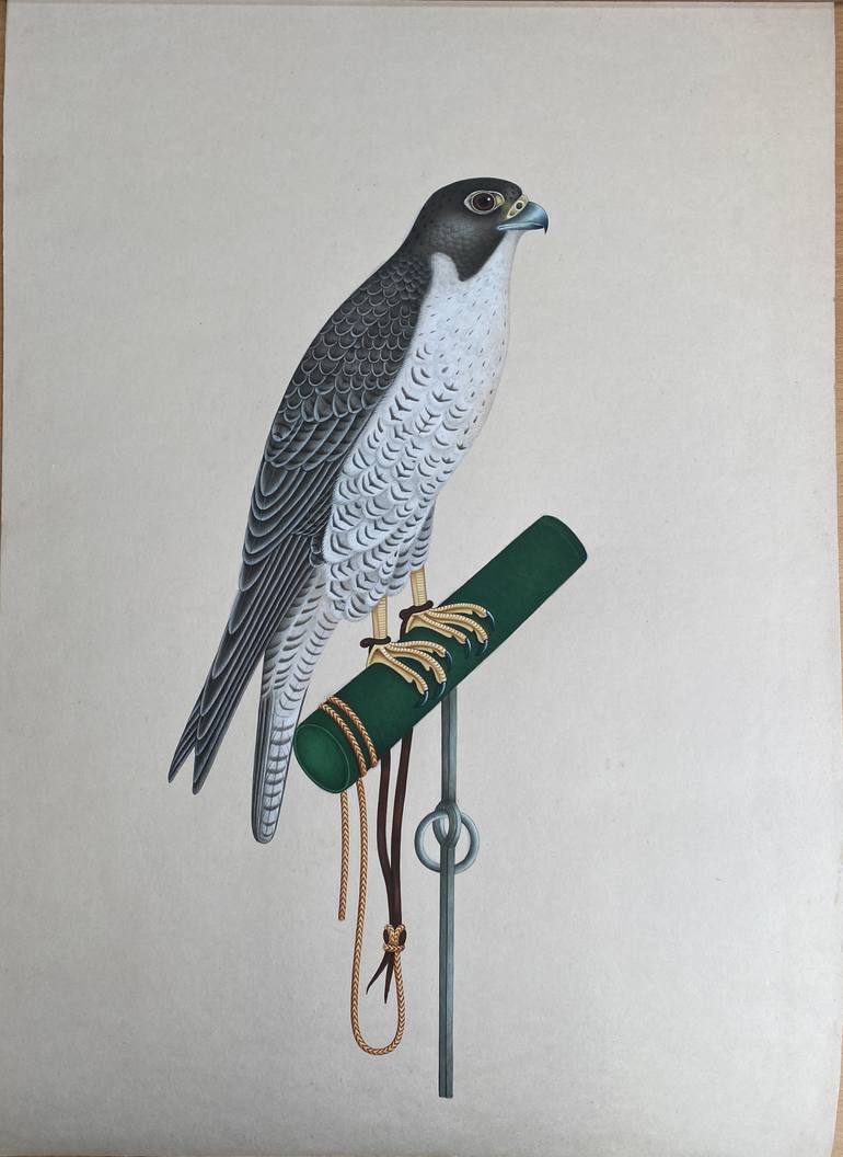 Hawk miniature painting, realistic falcon artwork Painting by Aditya ...