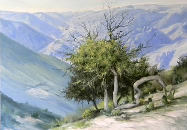 David Wright Saatchi Art
