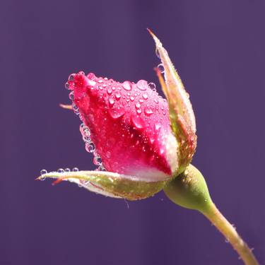 Martin Smith Artworks | Saatchi Art