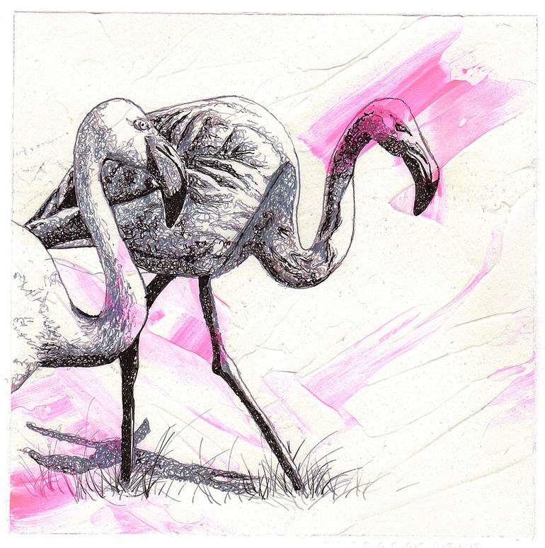 Flamingos (from The Colour of birds) Drawing by Philippa Bandurek ...