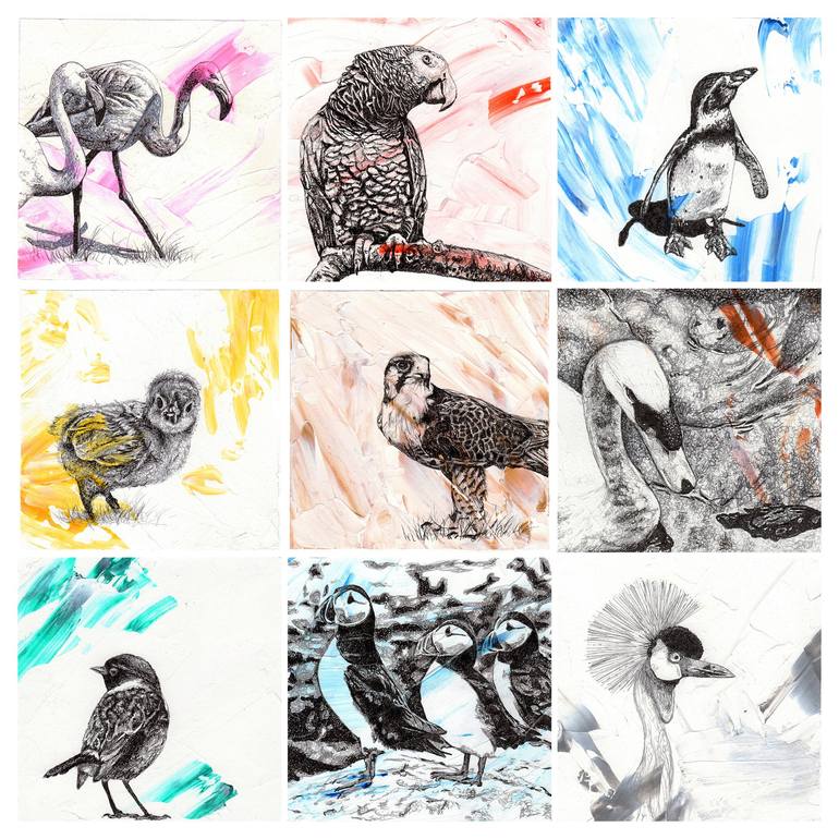 The Colour of Birds ennead Drawing by Philippa Bandurek Bradbury ...