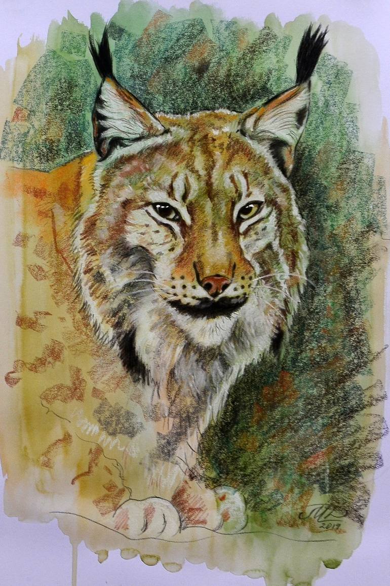 Lynx Drawing by David Manakyan | Saatchi Art