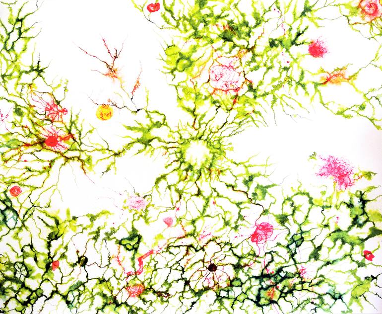 Web of Life Drawing by Kali Jones | Saatchi Art