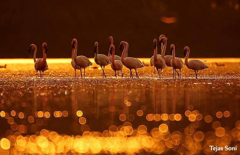 Treasure hunters Photography by Tejas Soni | Saatchi Art